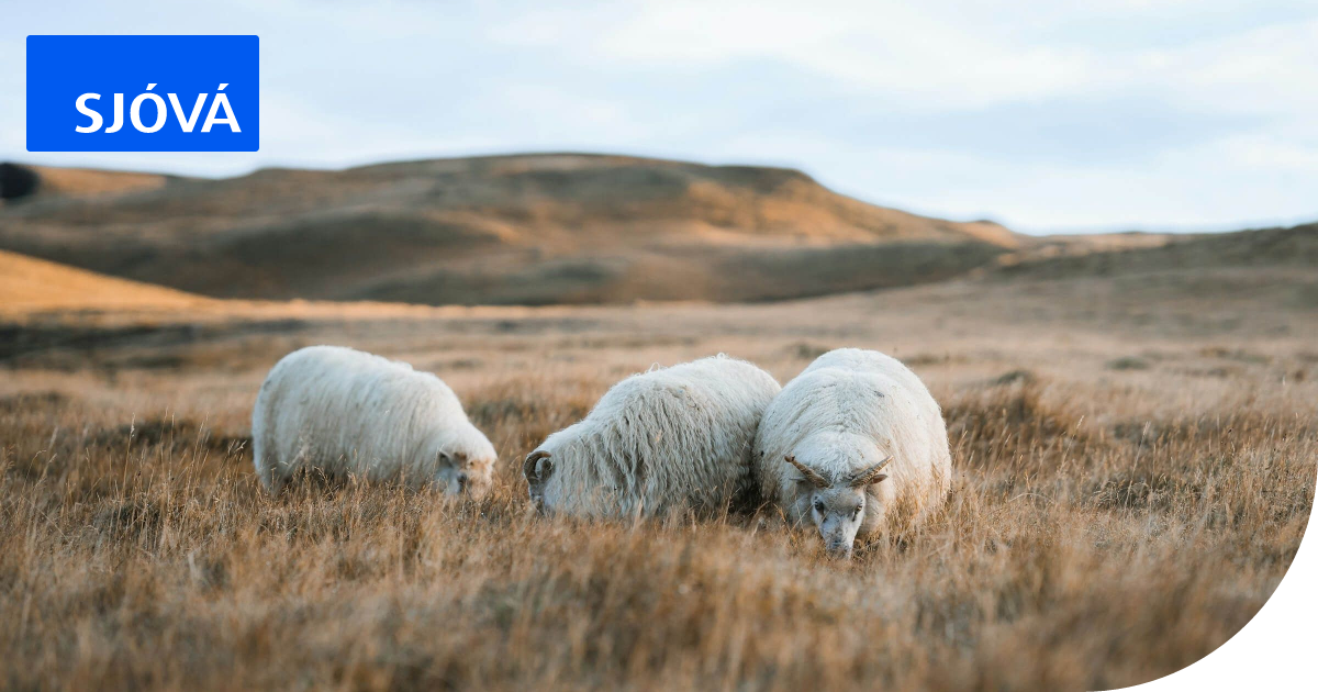Movable Asset Insurance for Farmers – Sjóvá